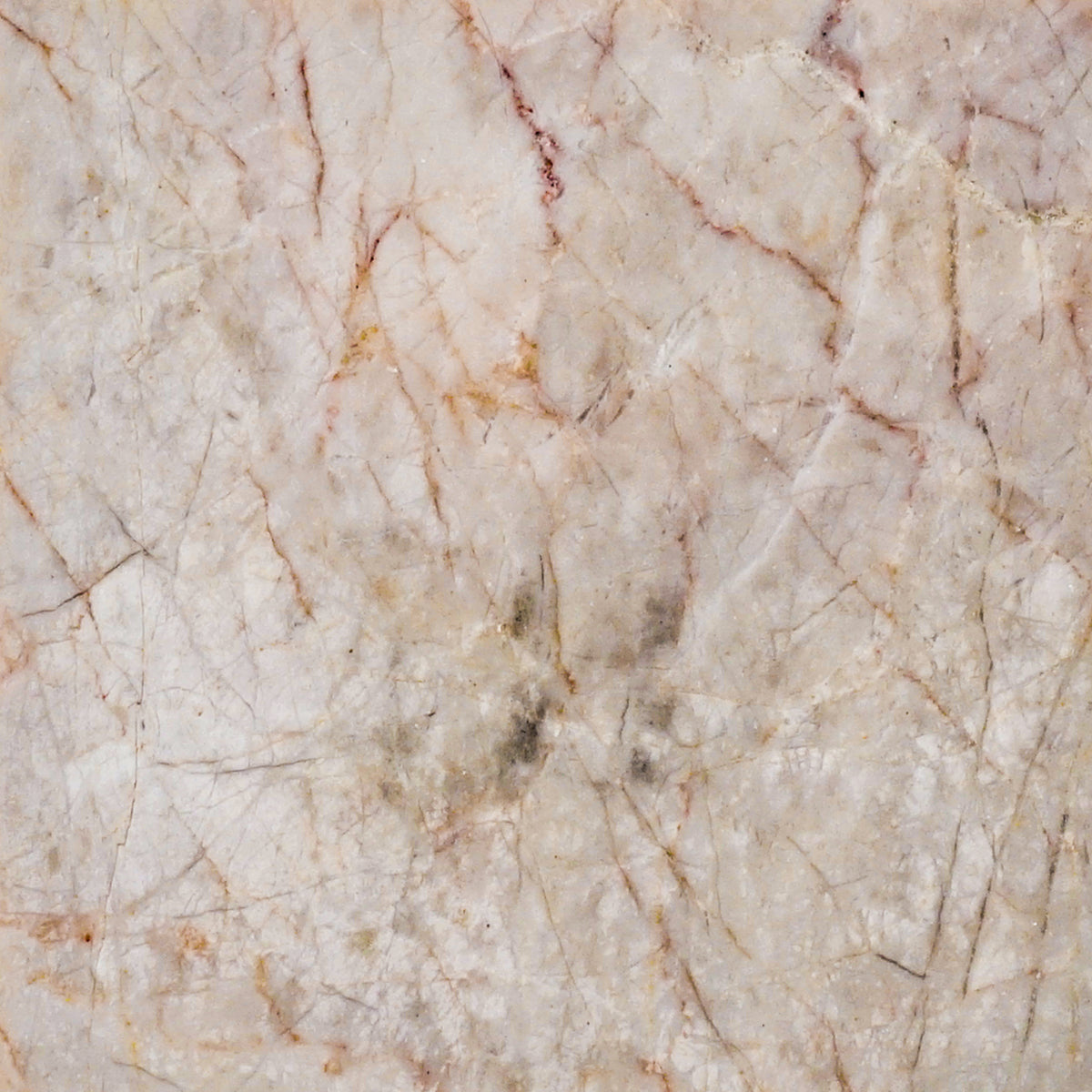 Breccia